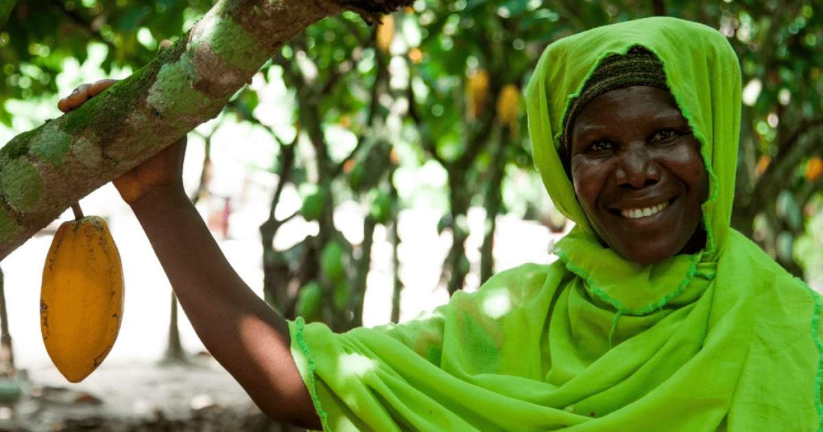 ECOM’s Smarter Cocoa Report 2022 - What is it and how can we learn from ...