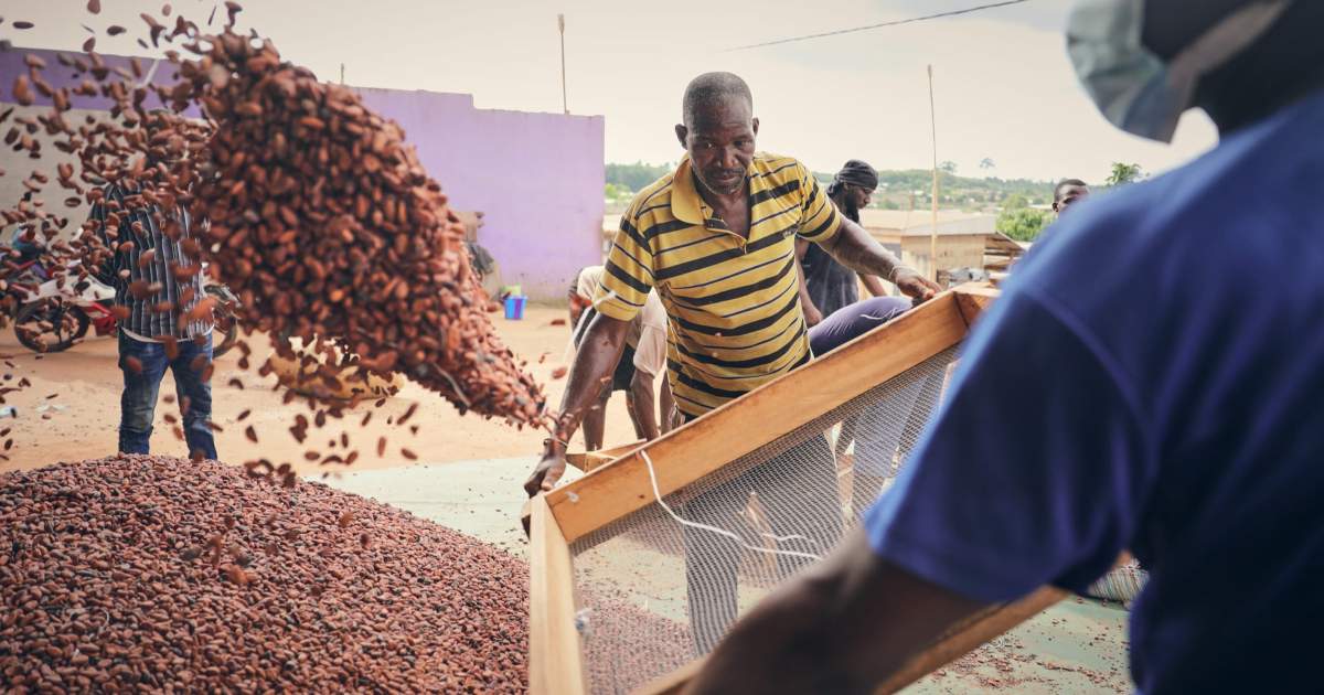 Journey of Chocolate: From Bean to Bar – Resources – World Cocoa Foundation