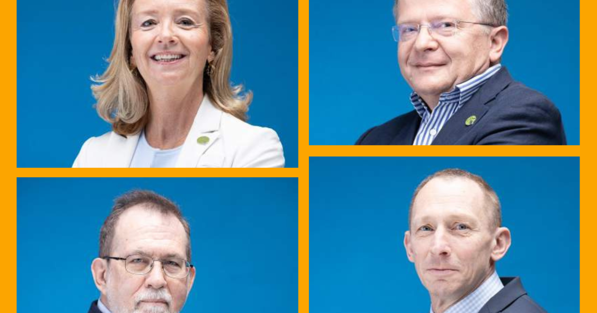 World Cocoa Foundation (WCF) Announces New Leadership Team at ...